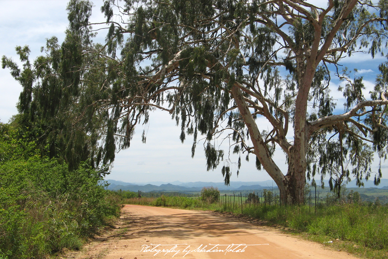 Swaziland | Mlilwane Nature Reserve 2007 | Sebastian Motsch